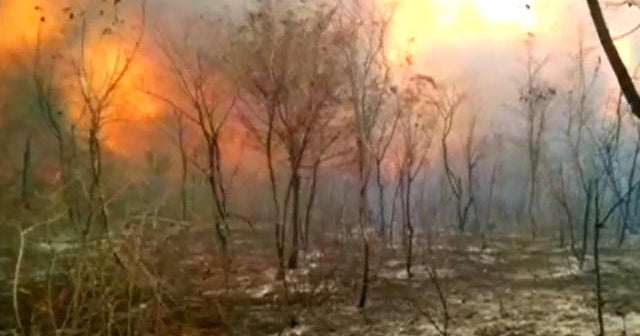 Fires rage across Amazon rainforest at record pace - CBS News