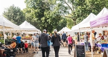 Only Two Weeks Left To Visit The Lincoln Park's Outdoor Green City ...