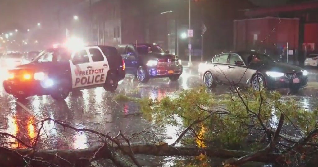 Gusty Winds Topple Trees, Branches, Power Lines, Make Mess Of Roads ...