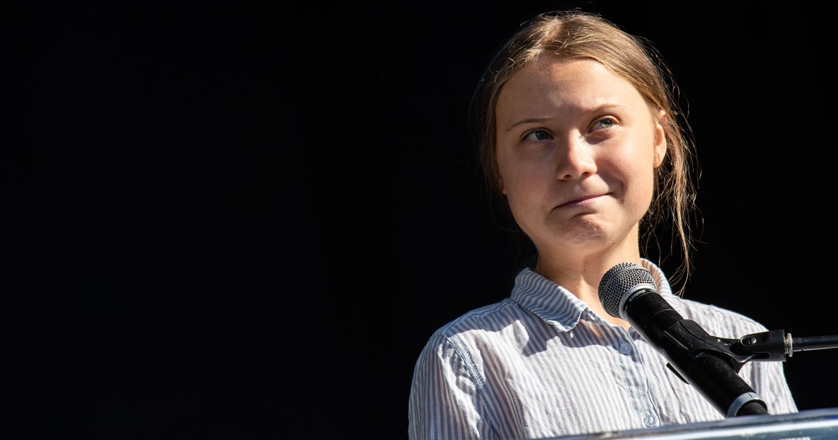 Greta Thunberg turns down Nordic Council's environmental award and ...