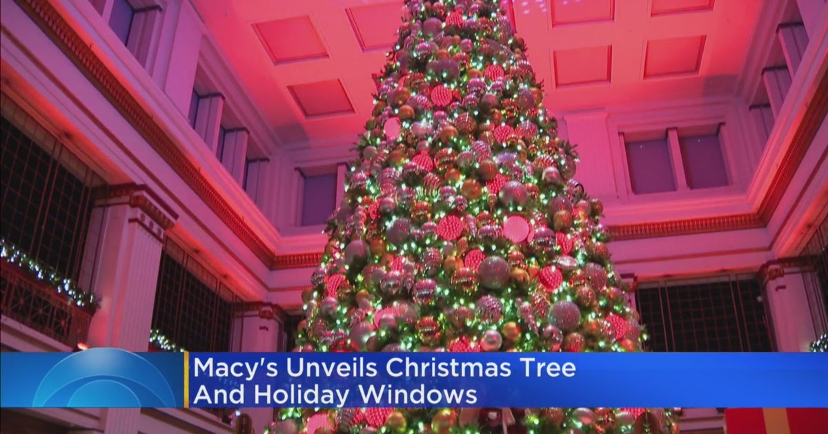 Macy's Kicks Off Holiday Season With Unveiling Of Great Tree - CBS Chicago