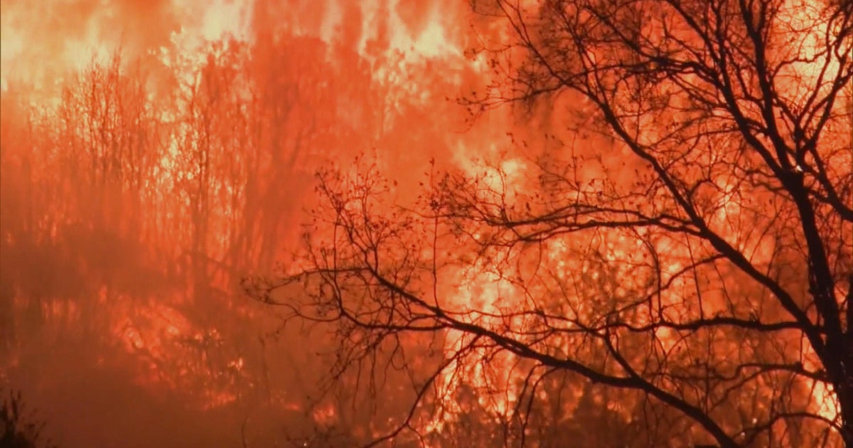 As California wildfires rage, is this the new normal? - CBS News