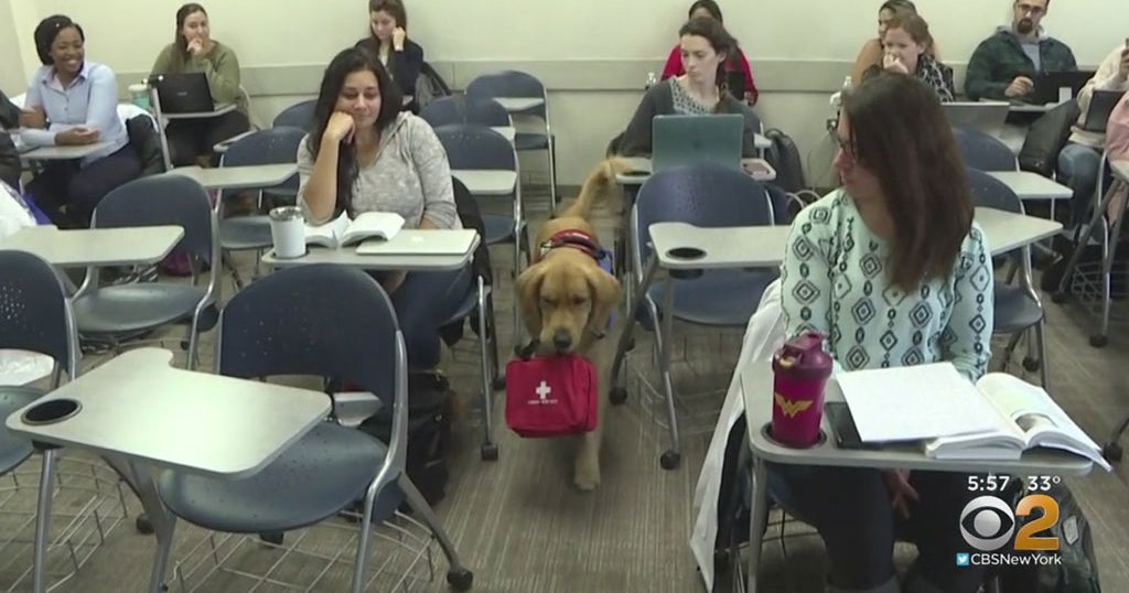 Pace University Program Teaches Future Health Care Professionals How To ...