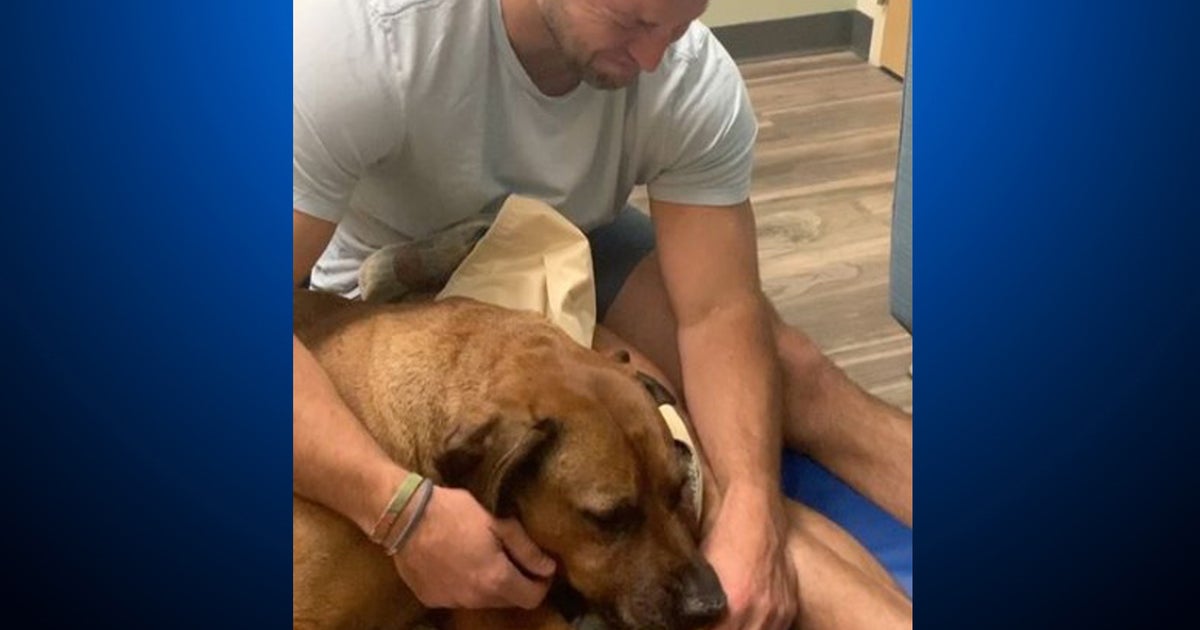 Tim Tebow Posts Video Of Heartbreaking Goodbye To His Dog 'Bronco ...