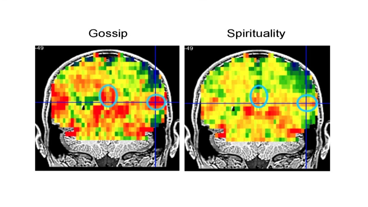 Scientists can use FMRI and computer analysis to read our thoughts - 60 ...