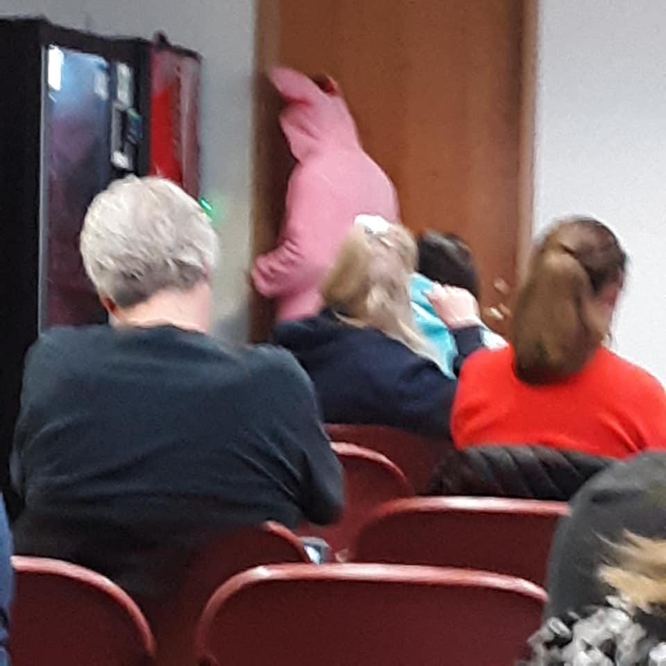 Colorado Man Shows Up For Jury Selection In Pink Bunny Suit - CBS Colorado