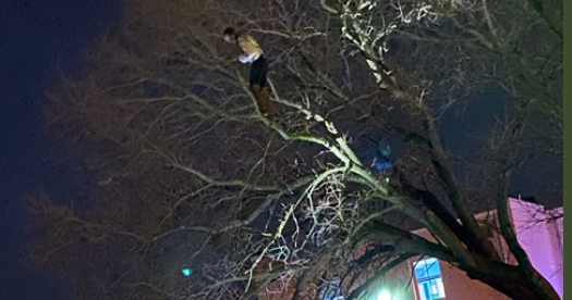 Police: Woman Perched In Tree Rescued By Officers - CBS Baltimore