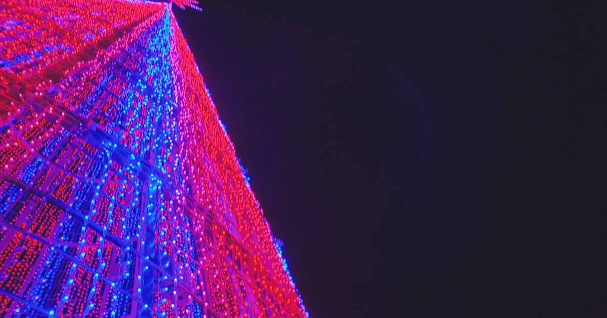 Mile High Tree Features New Light Shows In January
