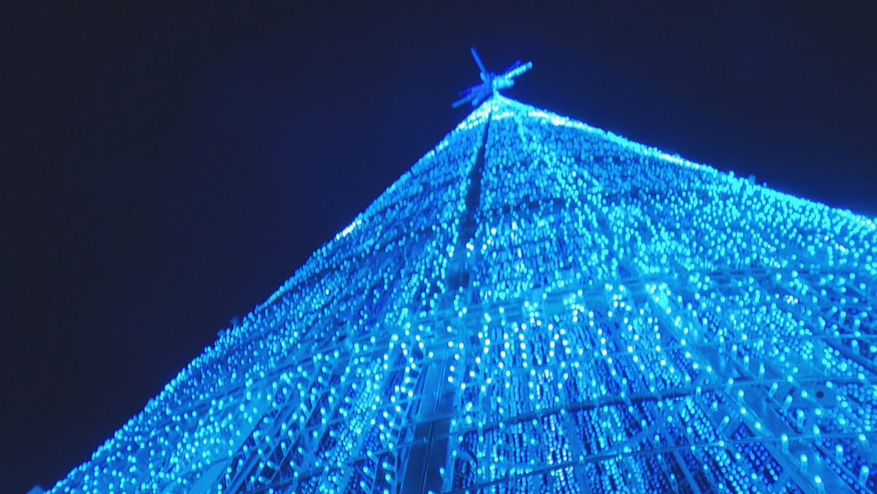 Mile High Tree set to return in Denver for 5th season - CBS Colorado
