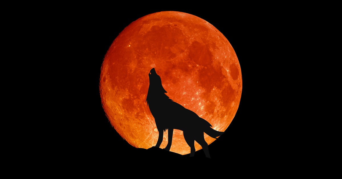'Wolf Moon' Eclipse Kicks Off The First Of 13 Full Moons In 2020 - Good ...