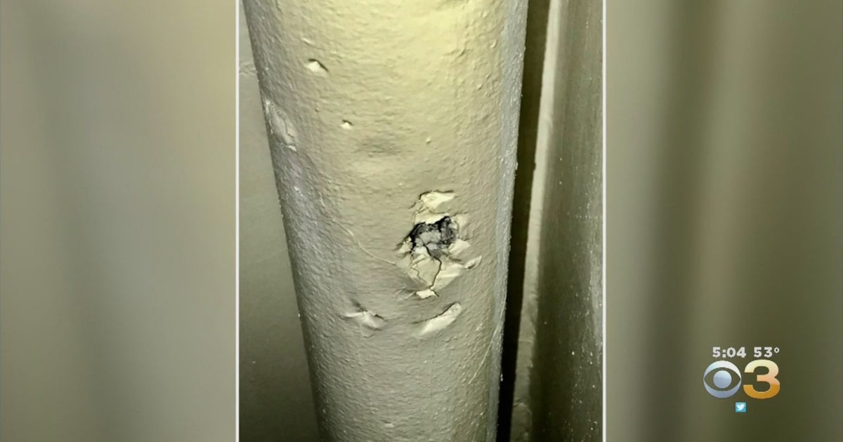 Philadelphia's Carnell Elementary School Expected To Reopen Monday ...