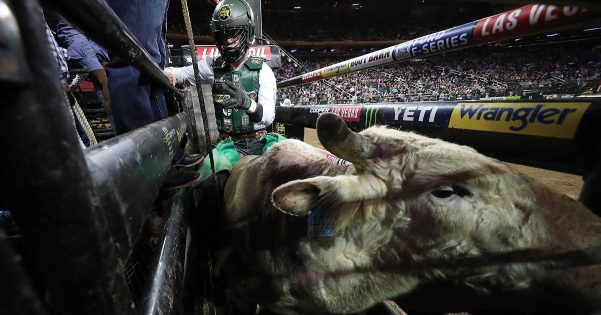 Daylon Swearingen Wins Bull Riding Tournament At Allstate Arena - CBS ...