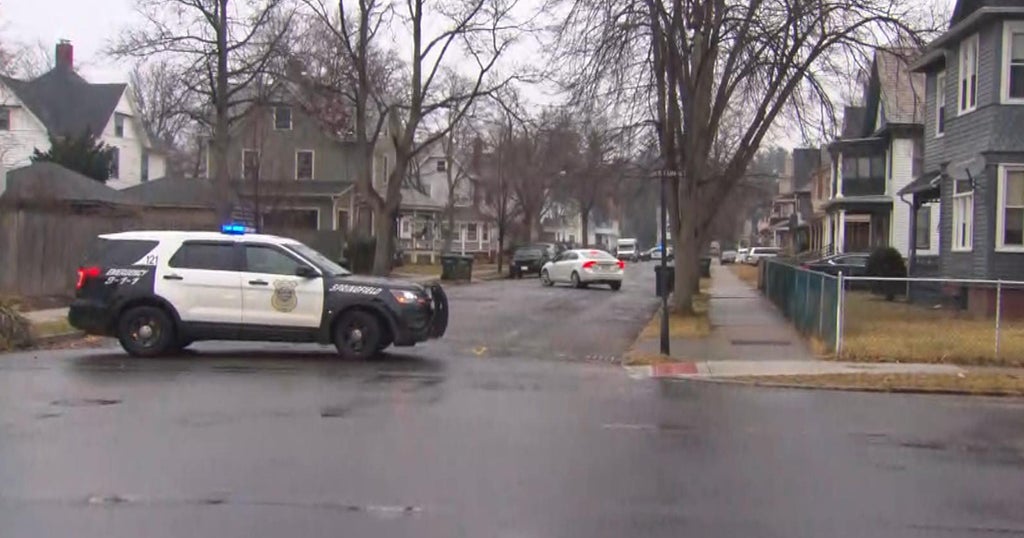 'Call The Cops!': Springfield Woman Witnessed Abduction That Prompted ...