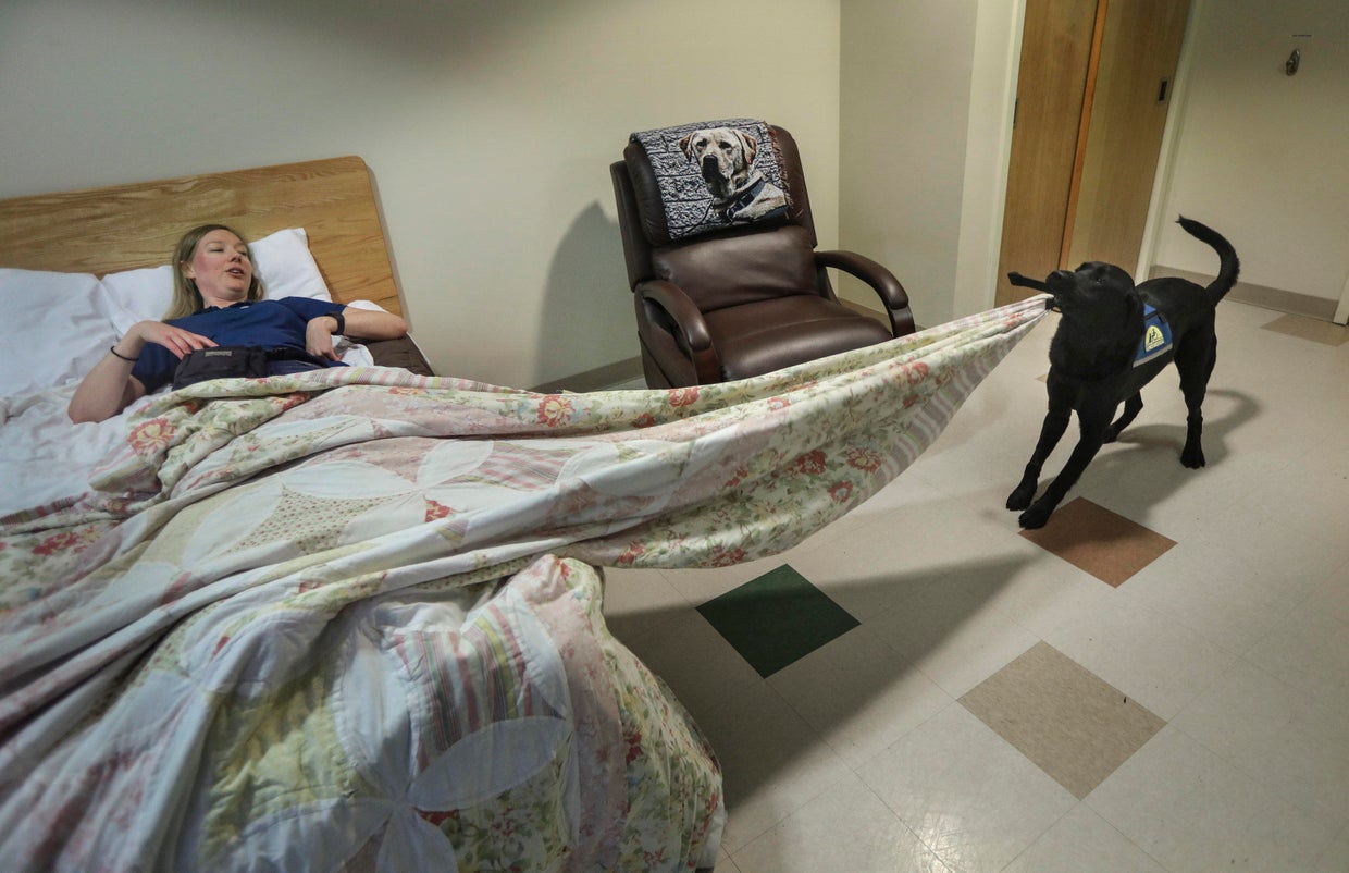 Animals doing people things