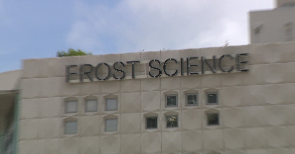 Frost Science Museum Reopens After Nearly 3 Months - CBS Miami