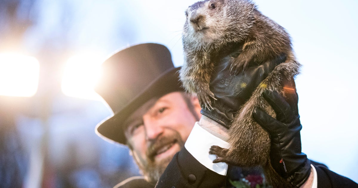 How did Groundhog Day begin? The origins of Punxsutawney Phil - CBS ...