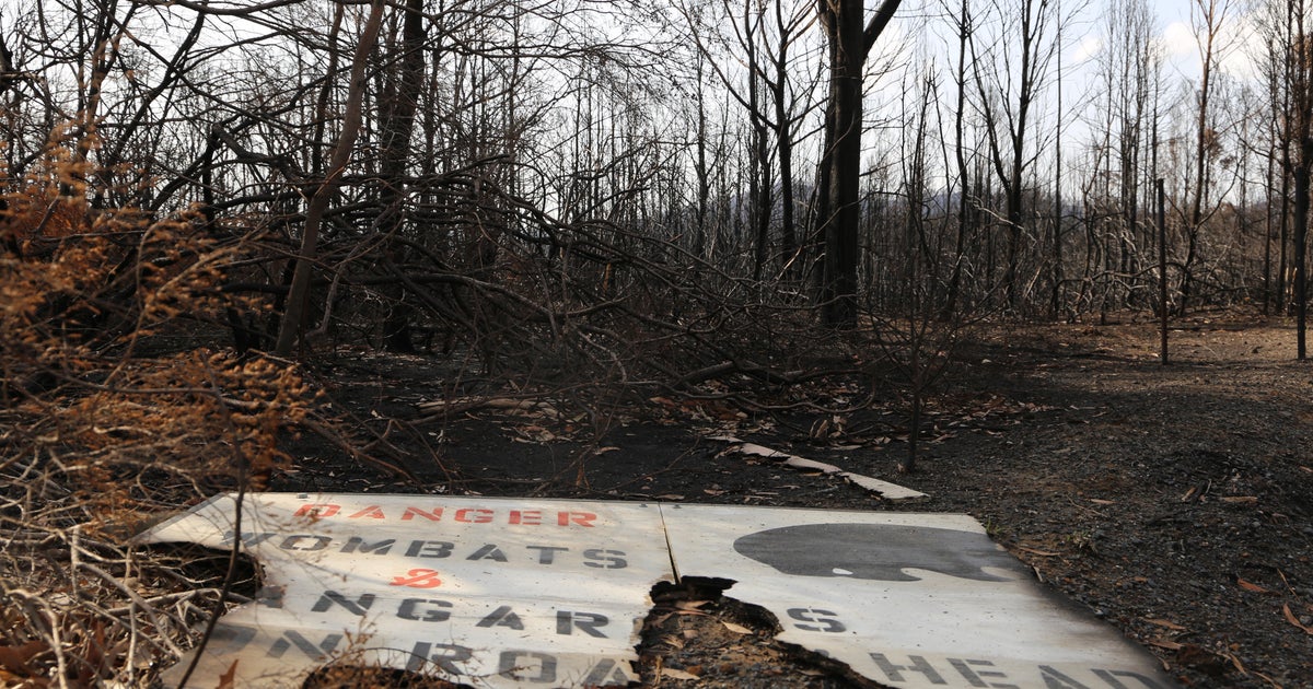 In the ashes of Australia's bushfires, town of Kangaroo Valley pulls ...