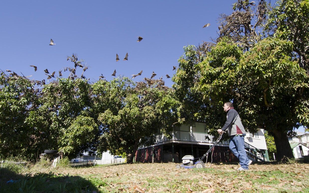 Deadliest infectious diseases in the world, ranked