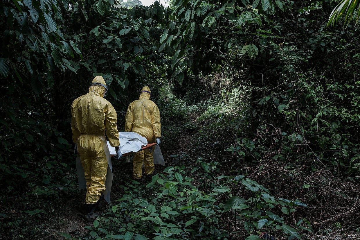 Deadliest infectious diseases in the world, ranked