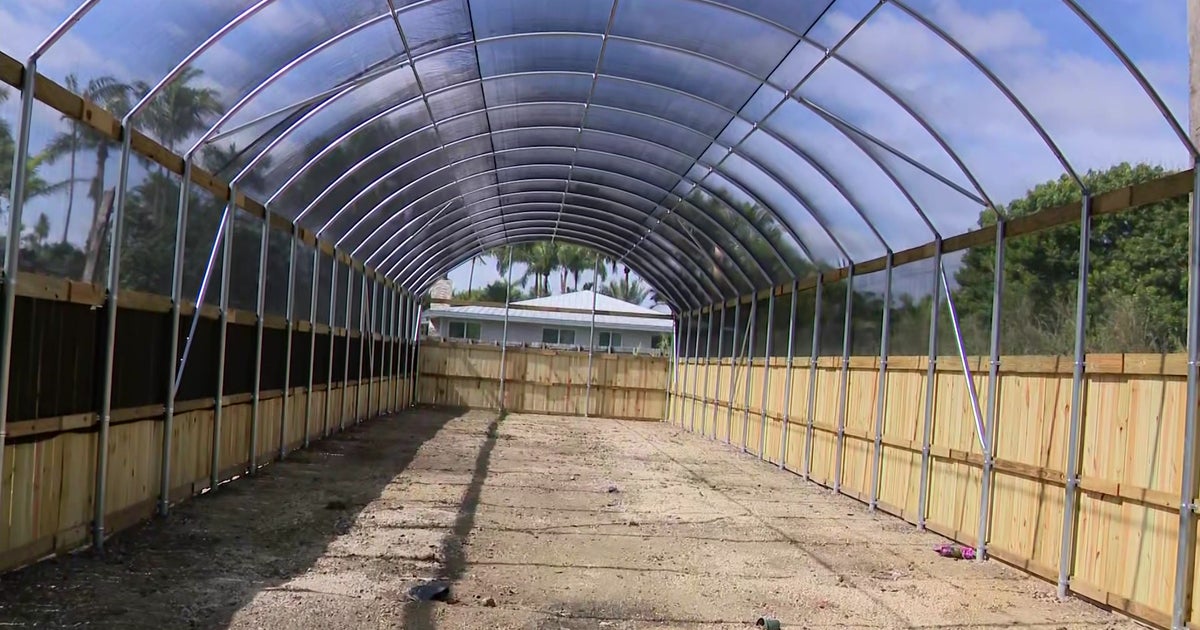 South Florida's First Flight Cage Almost Ready To Take Flight - CBS Miami