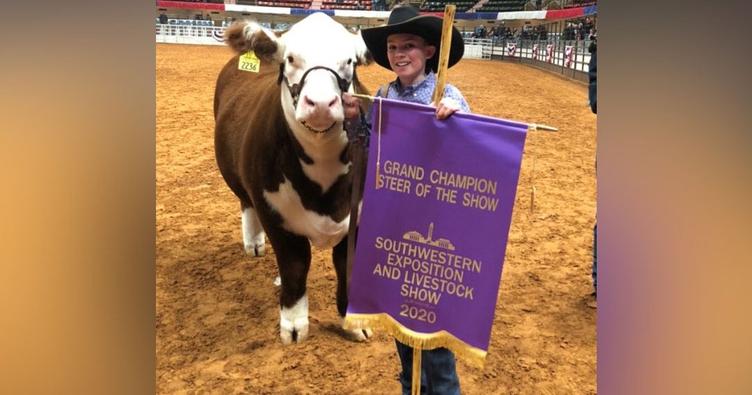 'Cupid Shuffle' Named Grand Champion Steer Of Fort Worth Stock Show And ...