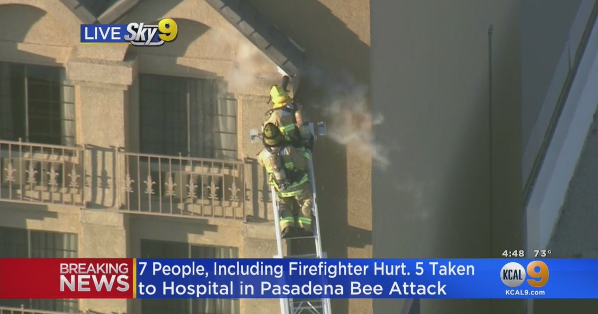 Bee Attack In Pasadena Leaves 5 People, Including Firefighter ...