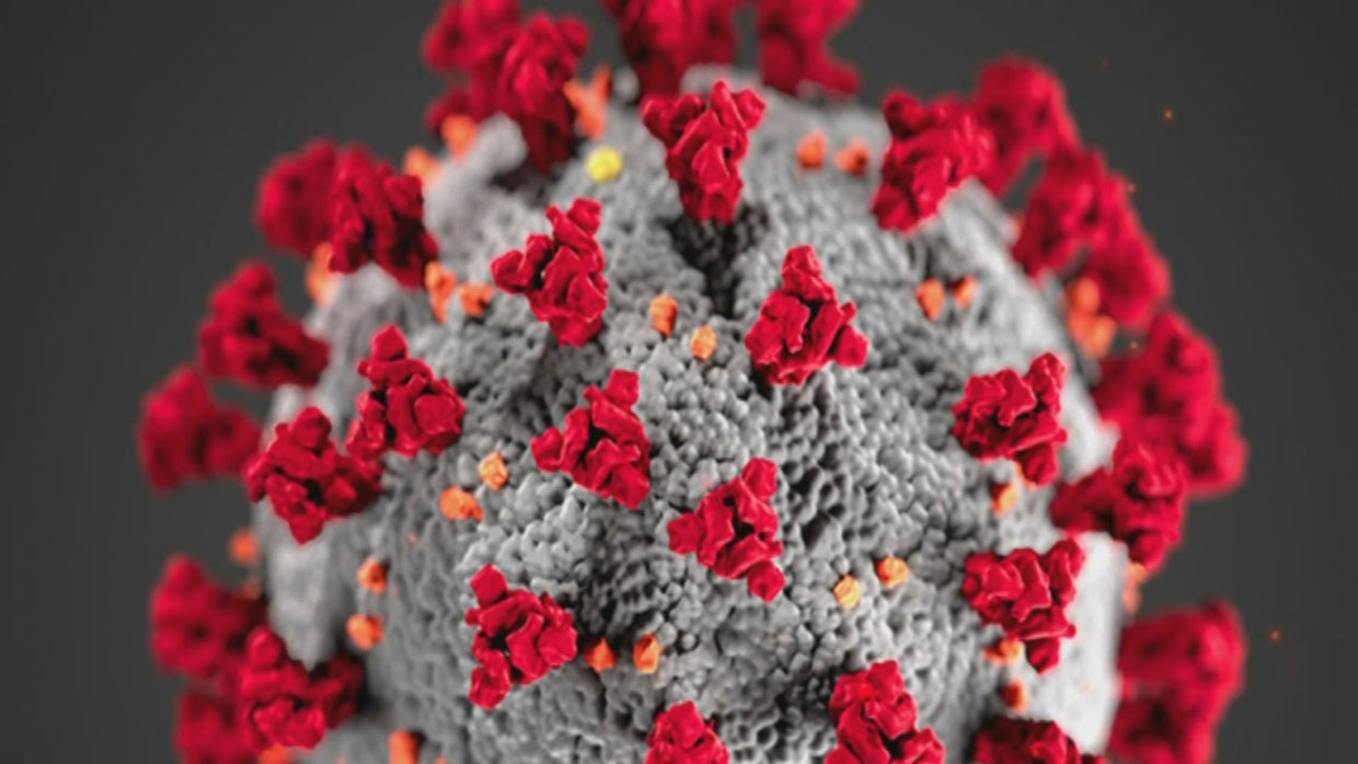 Coronavirus Outbreak: Colorado Lab On Track To Be Among First To ...