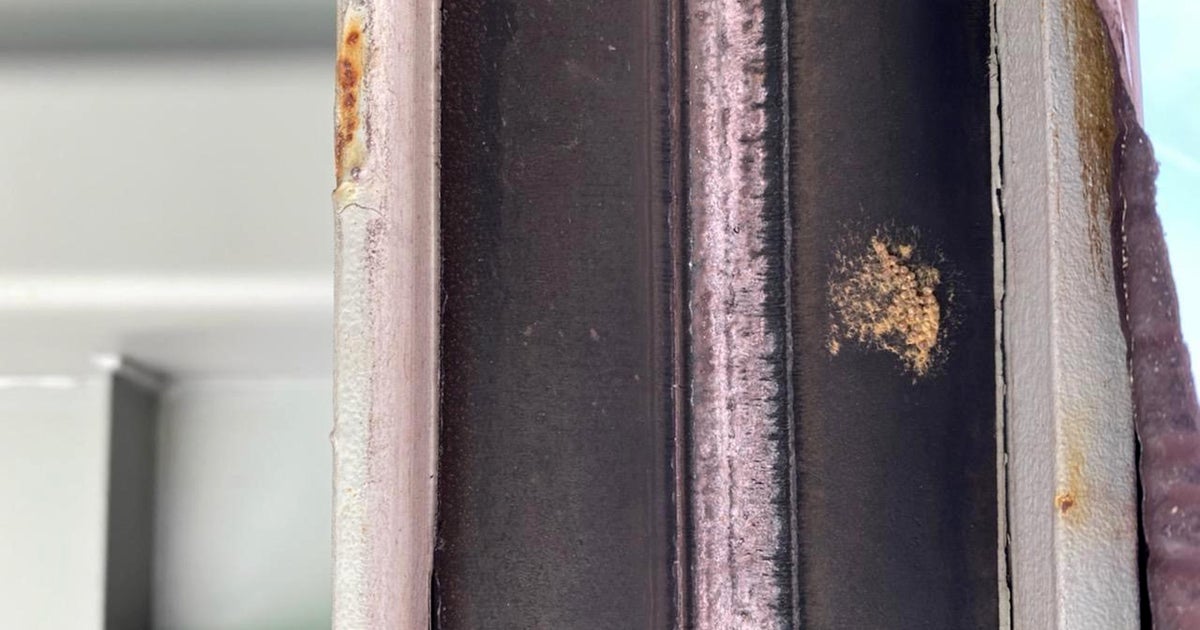 Inspectors Find Invasive Asian Gypsy Moth Eggs On Ship At Port Of ...