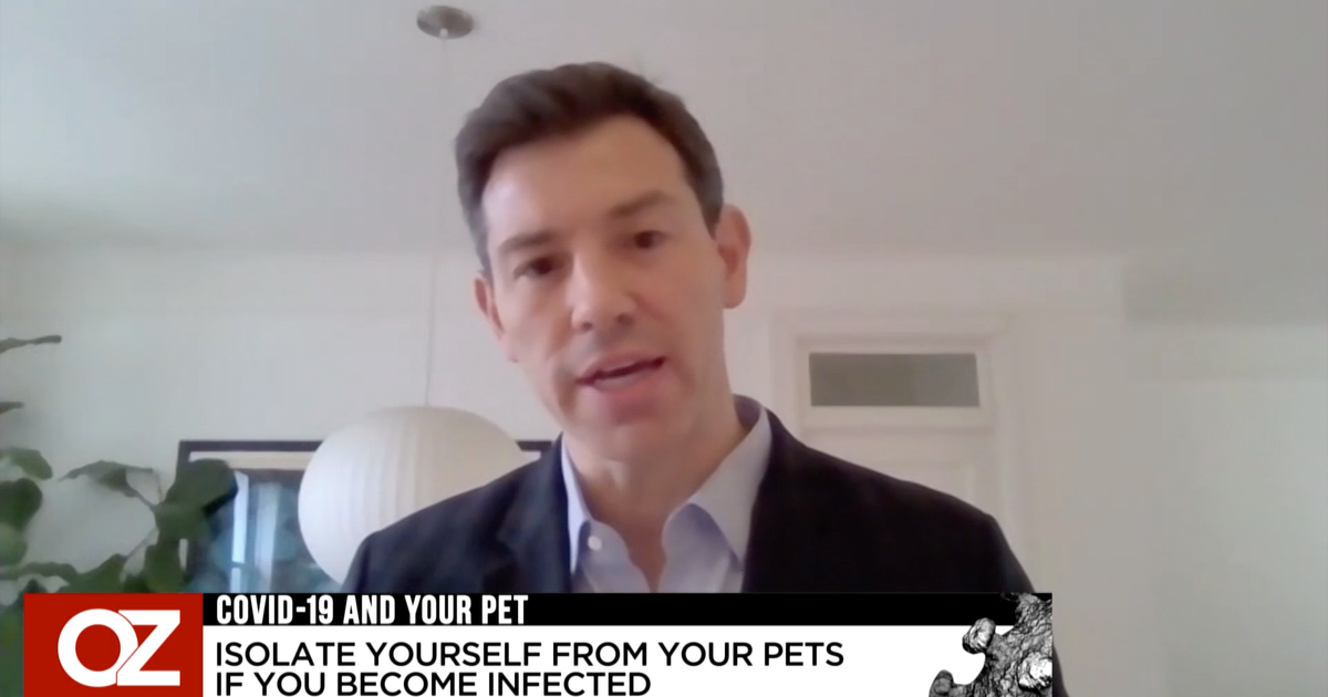 Veterinarian Jonathan Epstein And Dr. Oz Discuss What Are We Learning ...