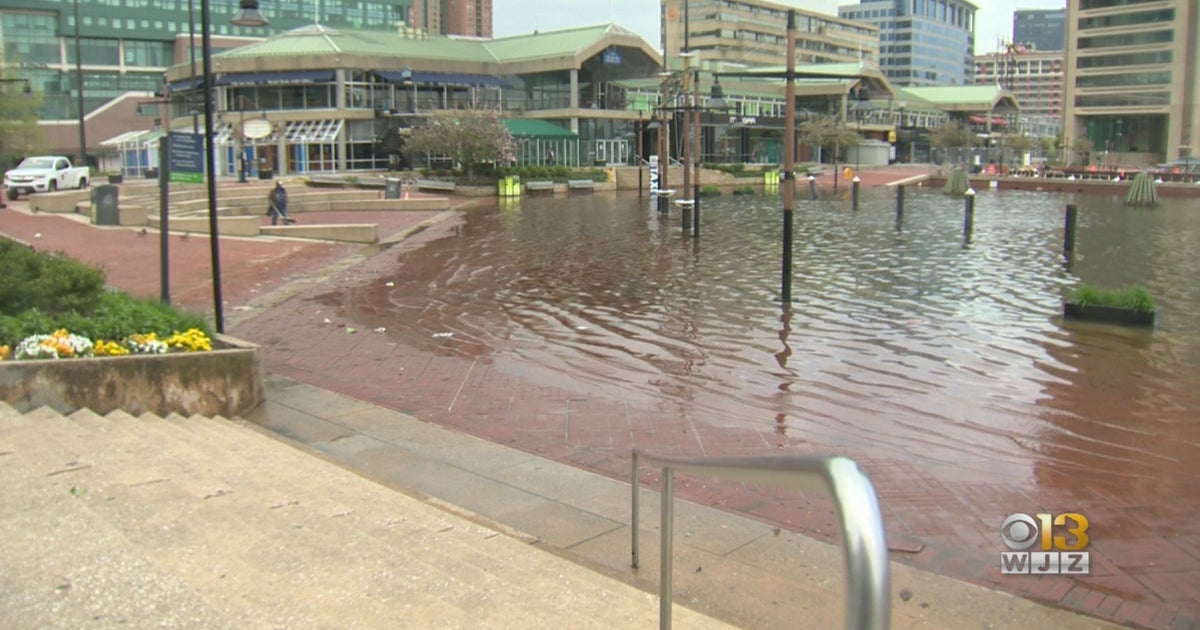 Maryland Weather: Trees Down, Flooding Reported After Storms Move ...