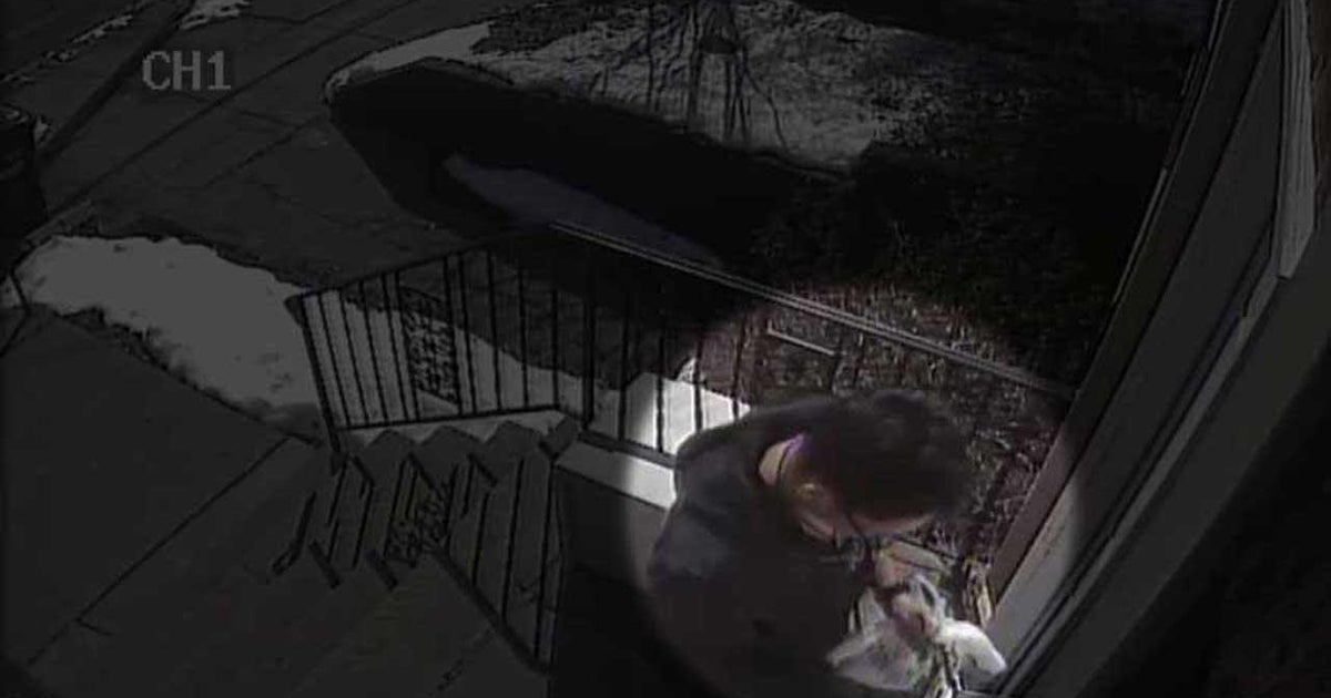 Haley Anderson murder: Crime scene evidence photos