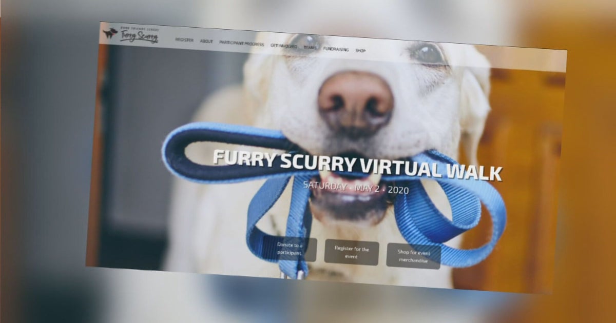 Furry Scurry Goes Virtual, Organizers Hope Animal Lovers Donate - CBS ...