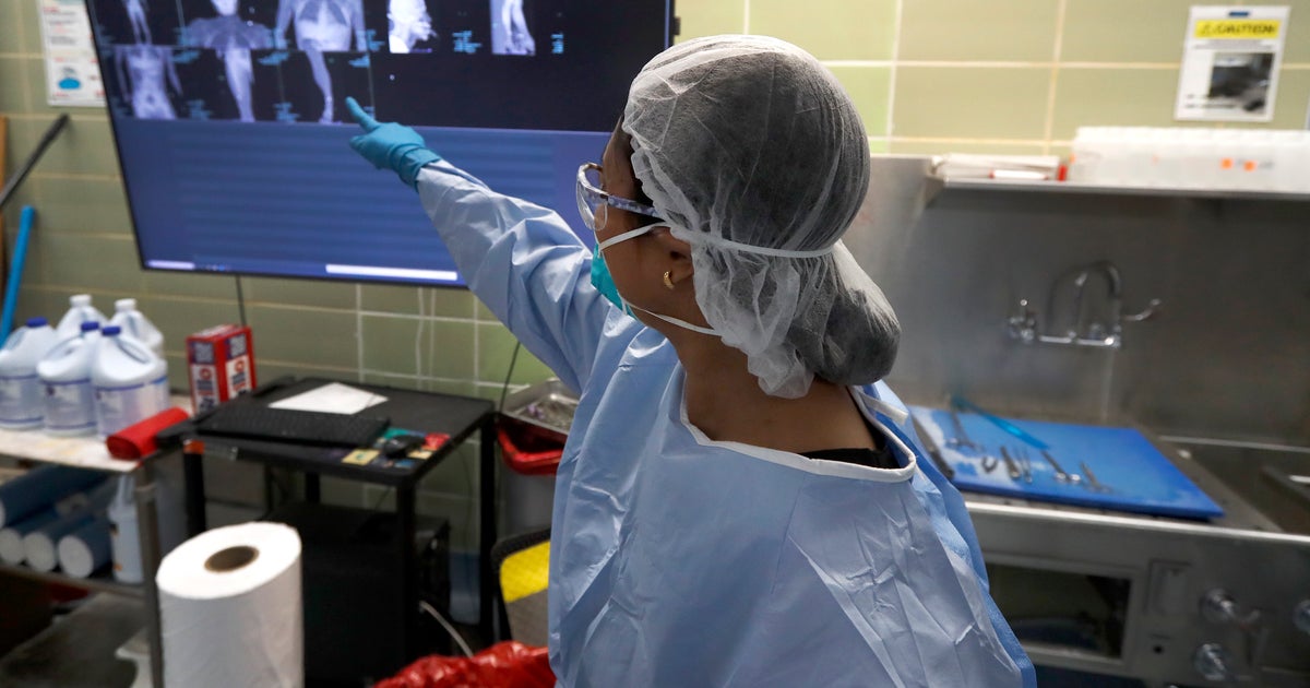 Cook County Morgue Coping Well With Historic Surge In Deaths; 'We've ...