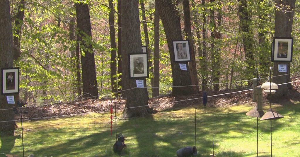 Wayland Artist Brings Socially Distanced Art Show To The Public - CBS ...
