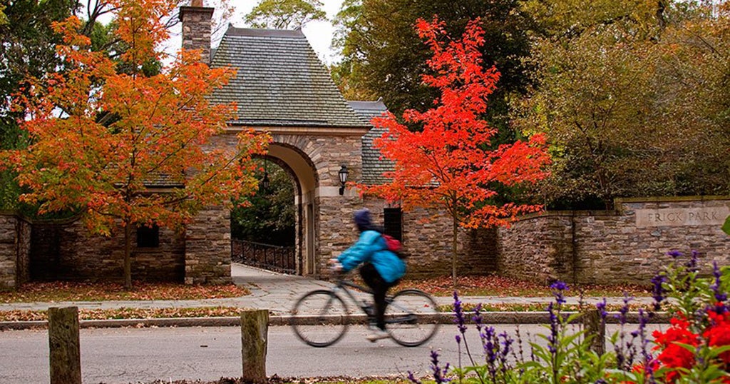 Frick Park Hosts Free Concert With Local Artists This Afternoon - CBS ...