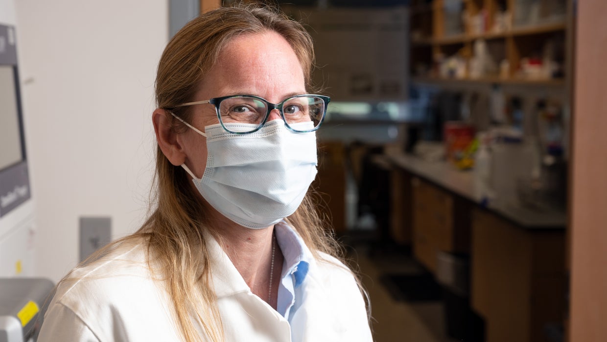 Vaccine First Introduced In 1700s To Fight Smallpox Helps CSU ...