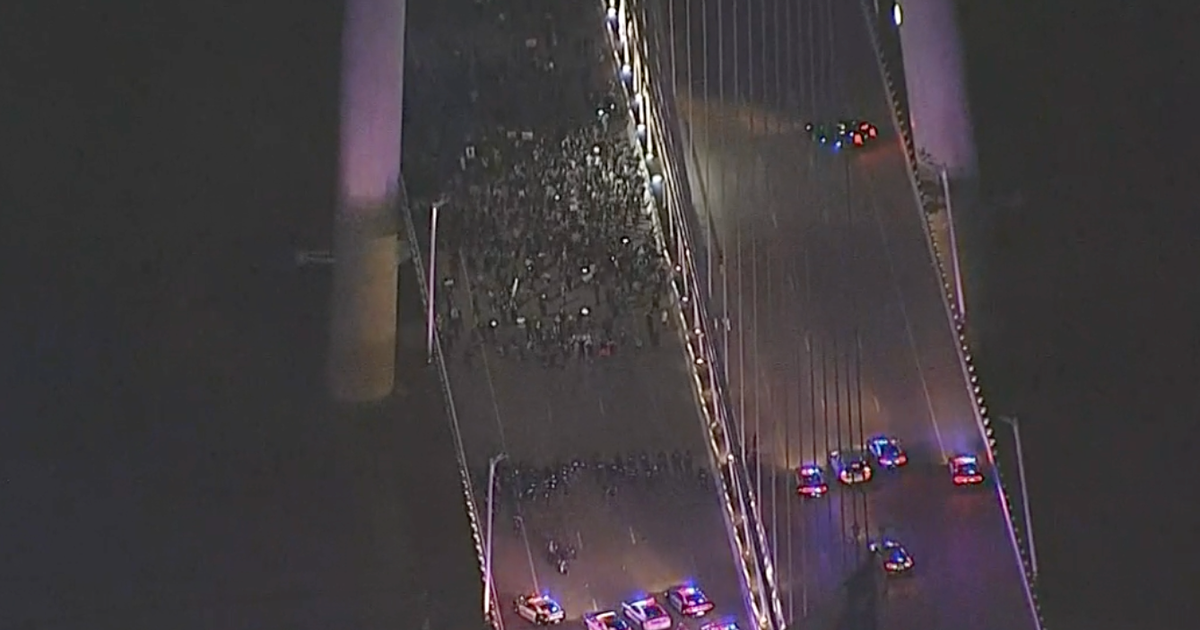 Dallas Protesters Arrested For Violating Curfew, Walking On Margaret ...