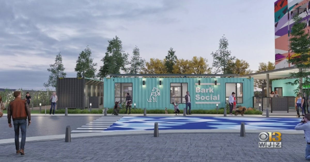 Bark Social, Membership Dog Park That Serves Coffee, Beer To Open In ...