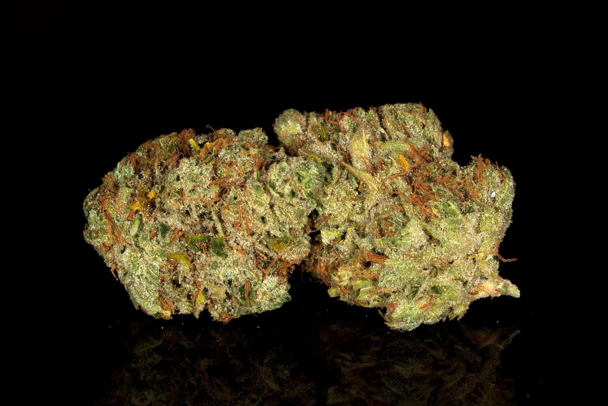 Viola Announces First Harvest And Official Launch Of Detroit ...