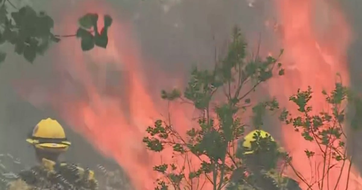 Coronavirus Leaves Cal Fire Shorthanded On Inmate Hand Crews - Good Day ...