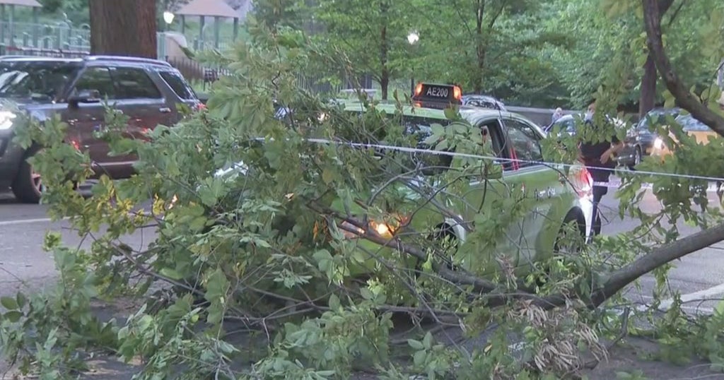 NYPD Officer Injured By Fallen Tree On Upper East Side - CBS New York