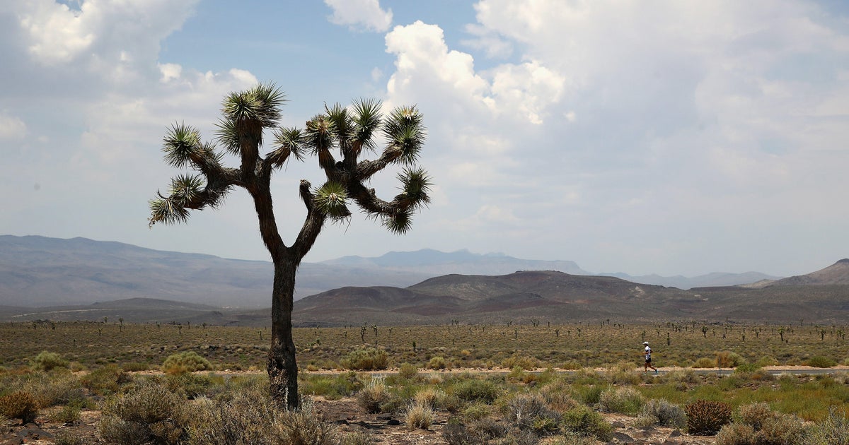 Death Valley sets record for planet's hottest temperature in years ...