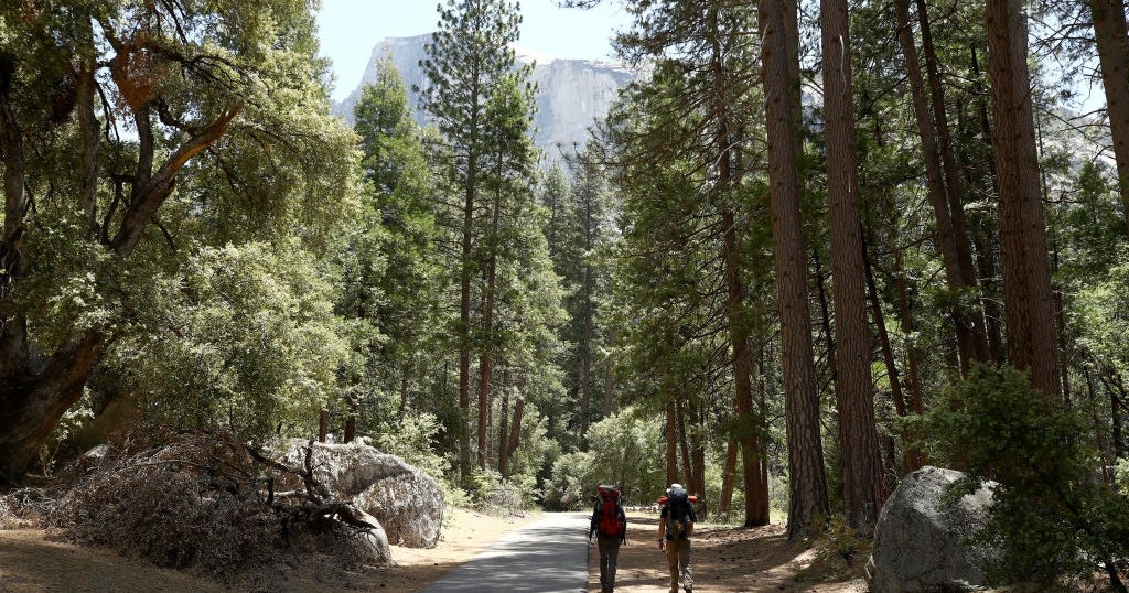 Tests Reveal Coronavirus In Yosemite National Park's Sewage - Good Day ...