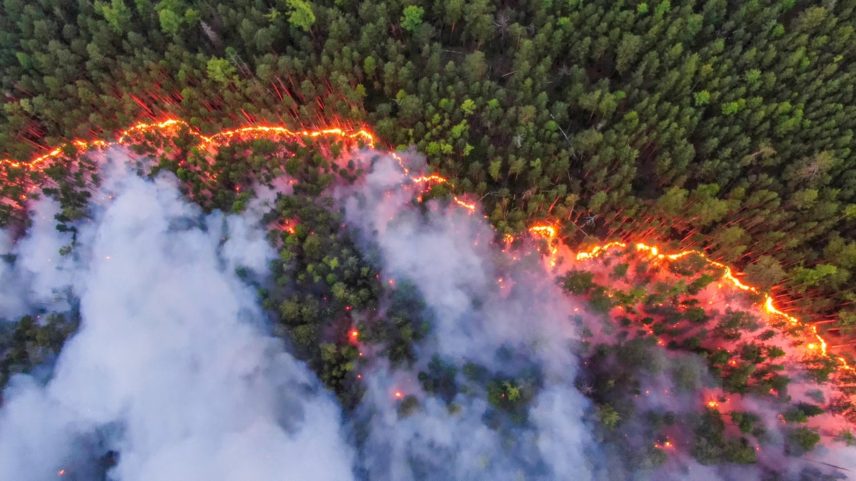 "Zombie fires" spark highest-ever carbon emissions in the Arctic Circle ...