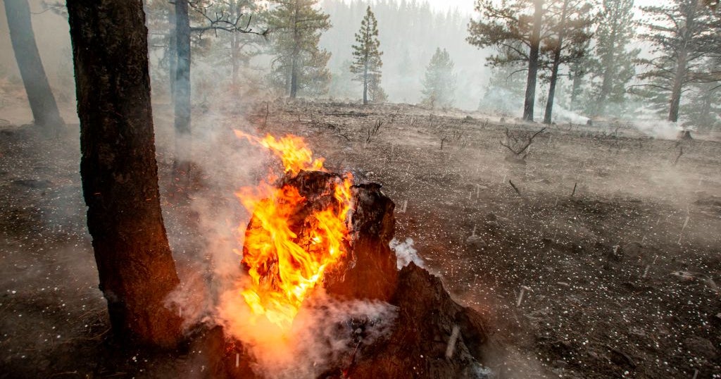 Hog Fire In NorCal Grows To 9,400 Acres As Firefighters Contend With ...