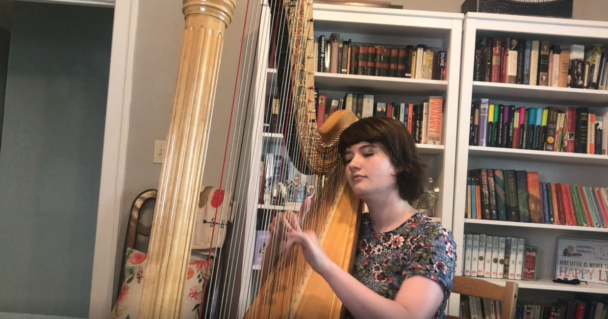 Dallas Symphony Orchestra Musicians Record Solo Videos To Share With ...
