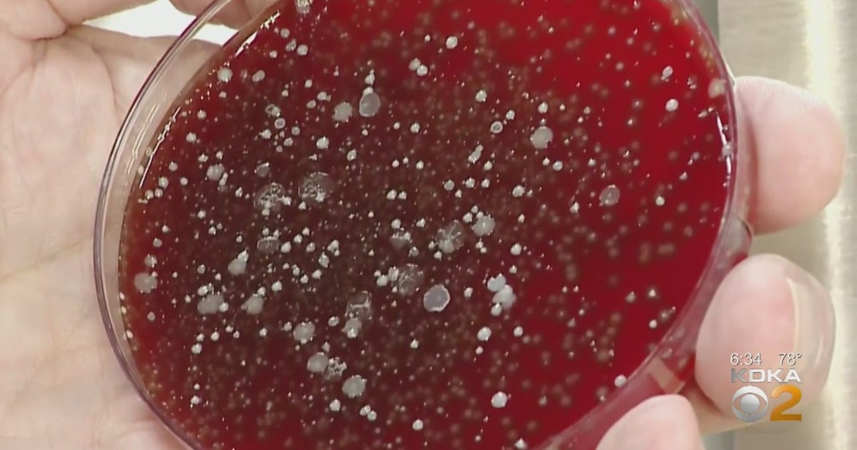 KDKA Investigates: The Best And Worst Face Masks For Preventing Spread ...