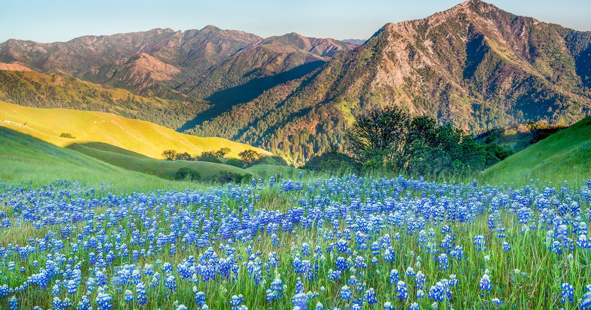After 250 Years, Native American Tribe Regains Ownership Of Big Sur ...