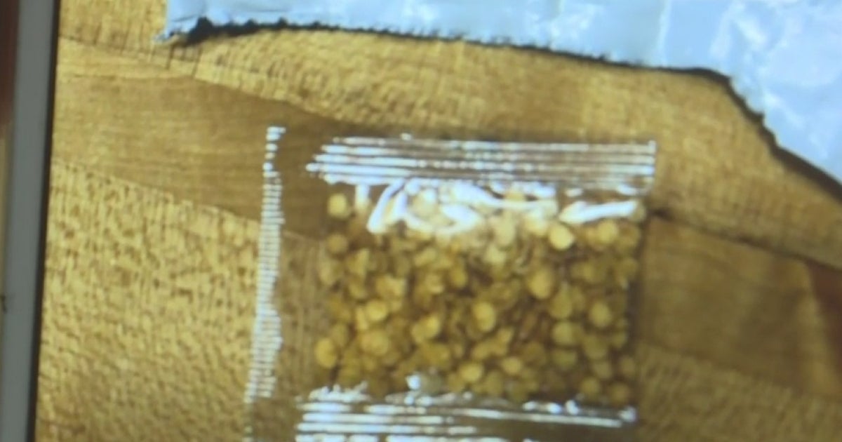 Strange Seed Phenomenon Grows In Northern California - Good Day Sacramento