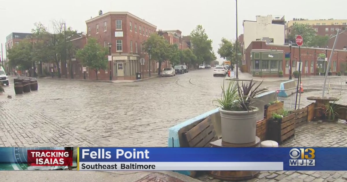 Baltimore Area Sees Trees Topple During Isaias, But City Spared Worst ...